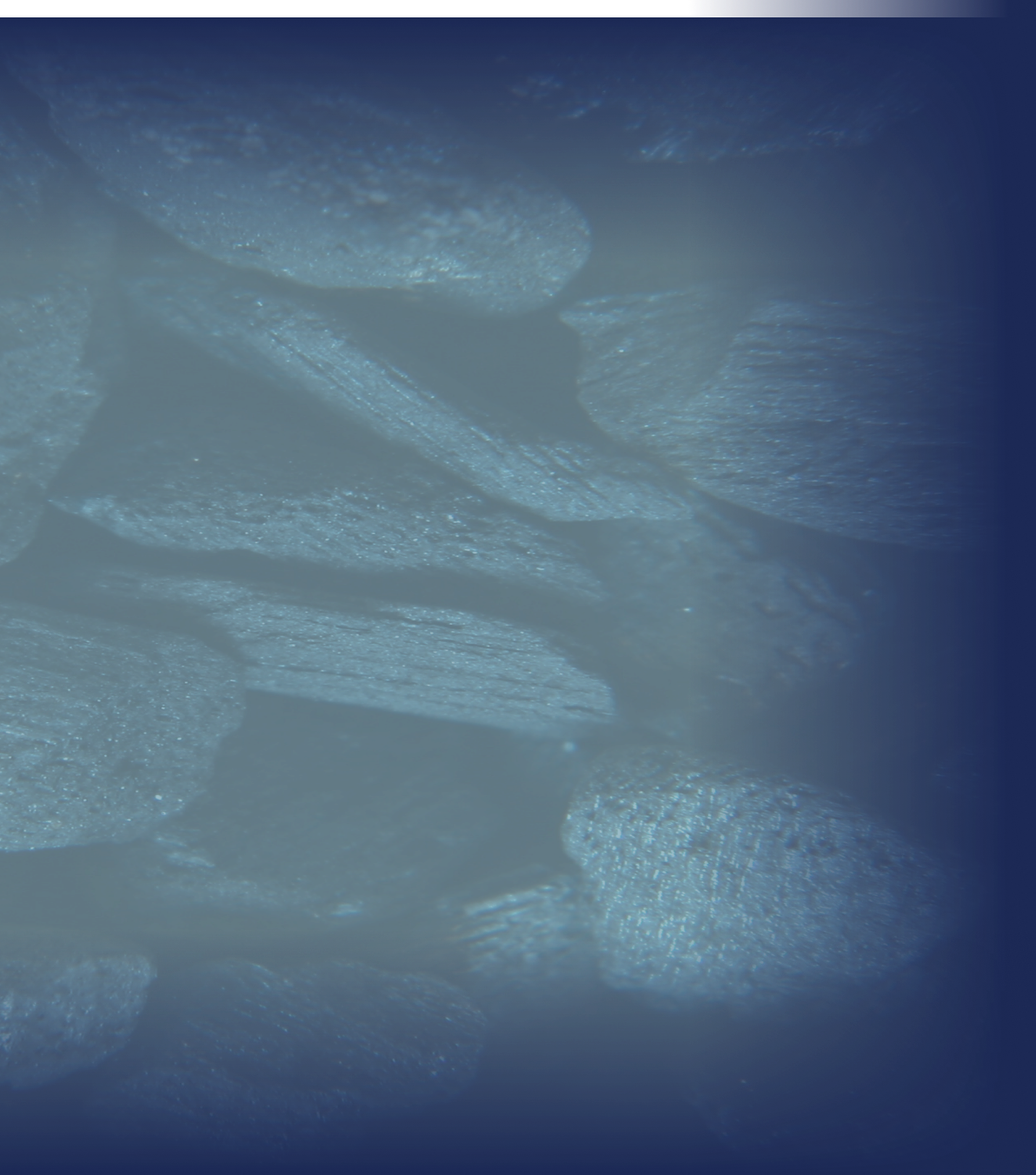 Partners and Customers - ACP Technologies